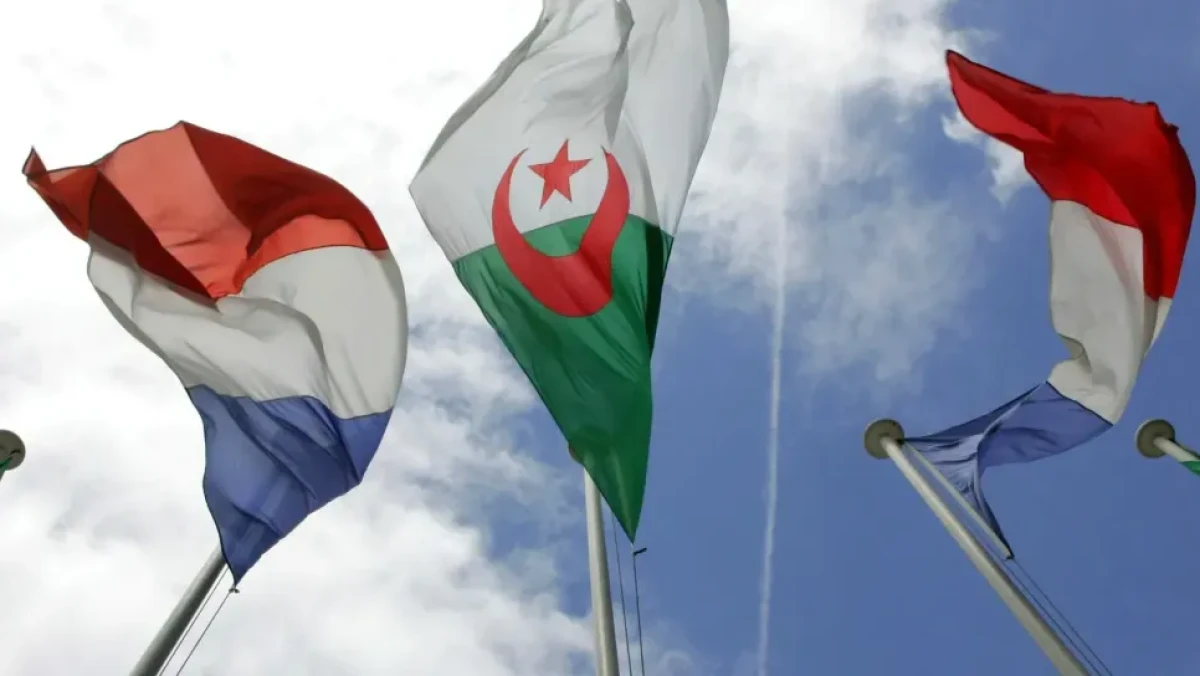 Les contradictions de la France ont abouti à des résultats contraires ...