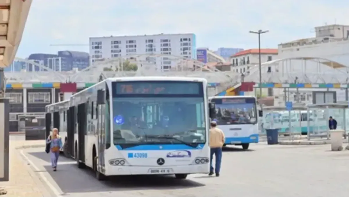 Alger : « ETUSA » annonce l’ouverture de deux nouvelles lignes ...