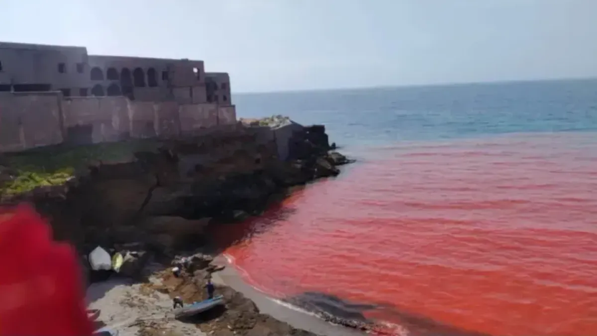 Pollution Ain Benian: les précisions de la wilaya d’Alger - Société ...
