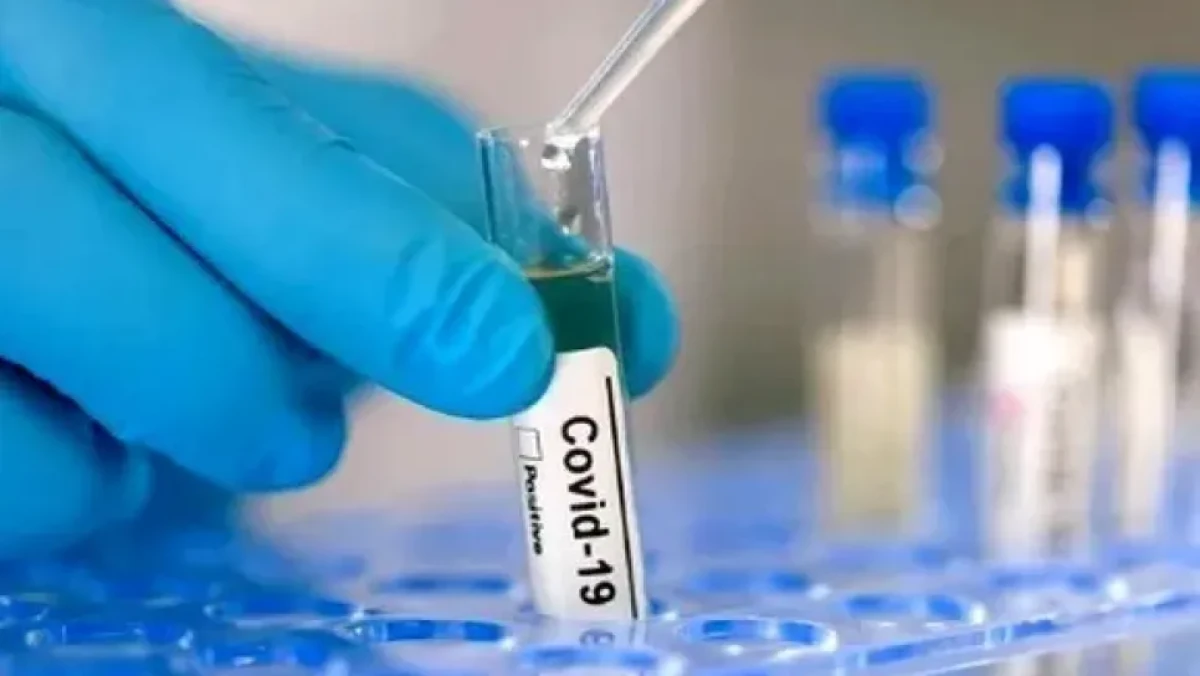 Covid-19: Bilan des dernières 24h - Actualité : El Khabar